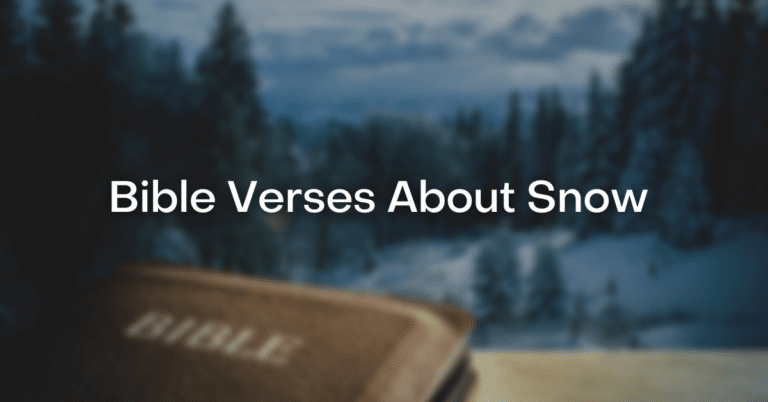 23+ Bible Verses About Snow - Bible Verses 101