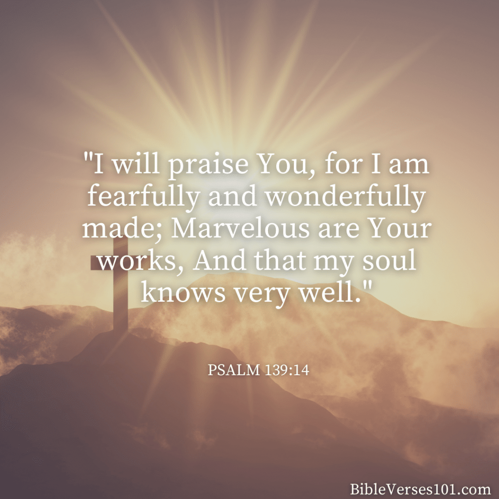 51+ Cute and Poetic Bible Verses That Hit Deep