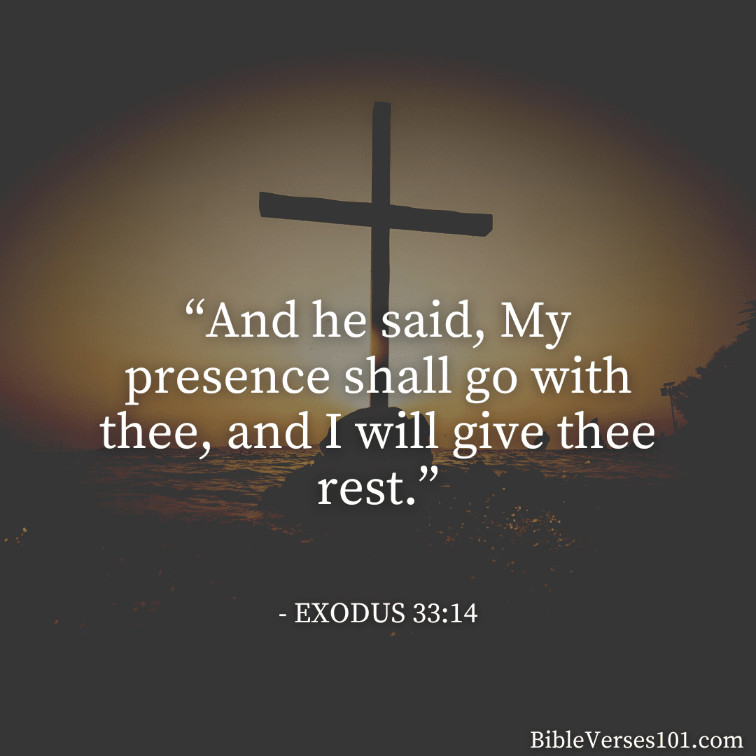 53+ Bible Verses About Not Worrying About Tomorrow