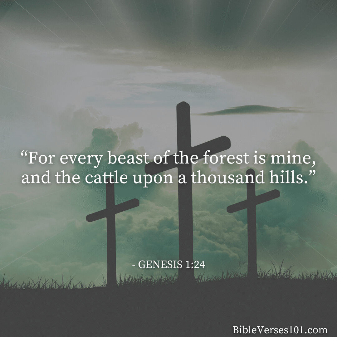 53+ Bible Verses About God's Creation