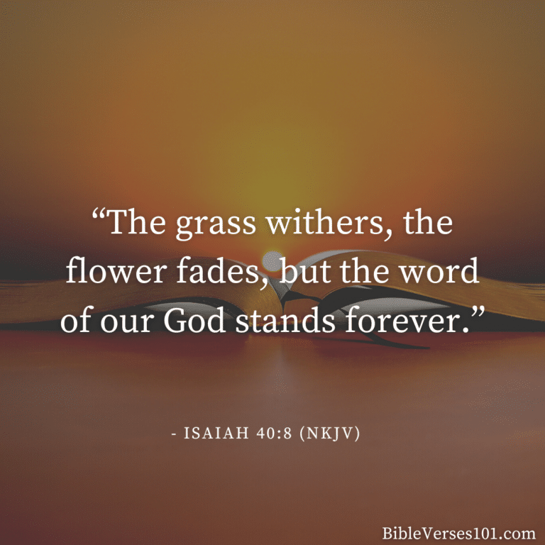 53+ Bible Verses About Nature