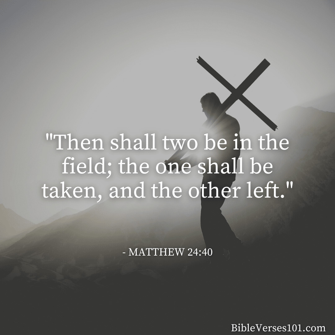 53+ Bible Verses From Matthew