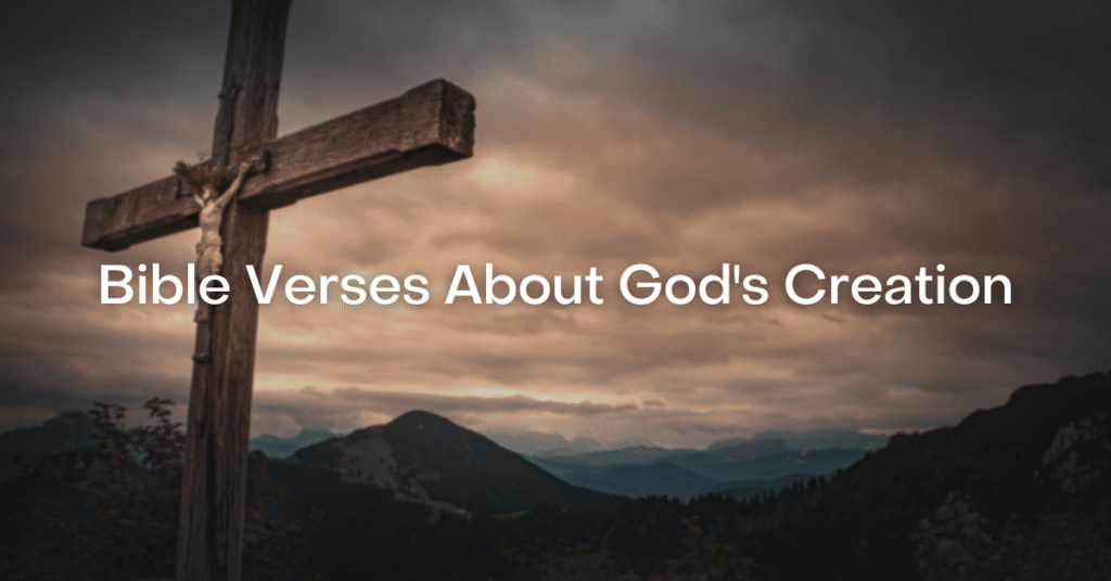 53+ Bible Verses About God's Creation