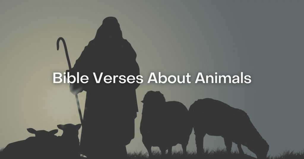 53+ Bible Verses About Animals