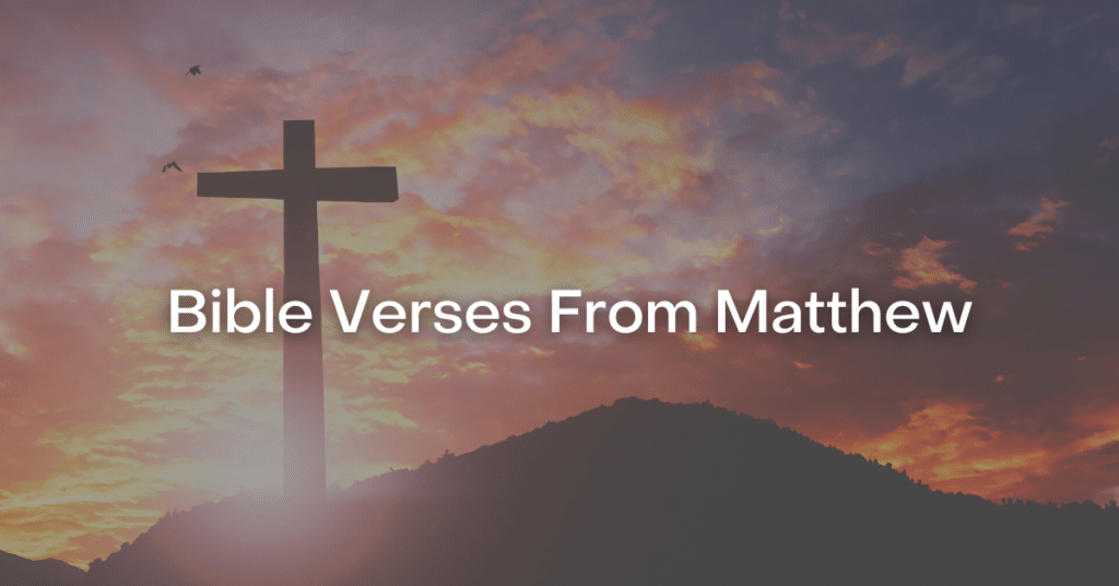 53+ Bible Verses From Matthew