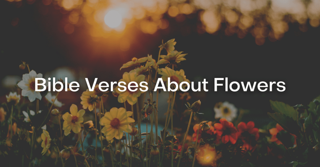 53+ Bible Verses About Flowers