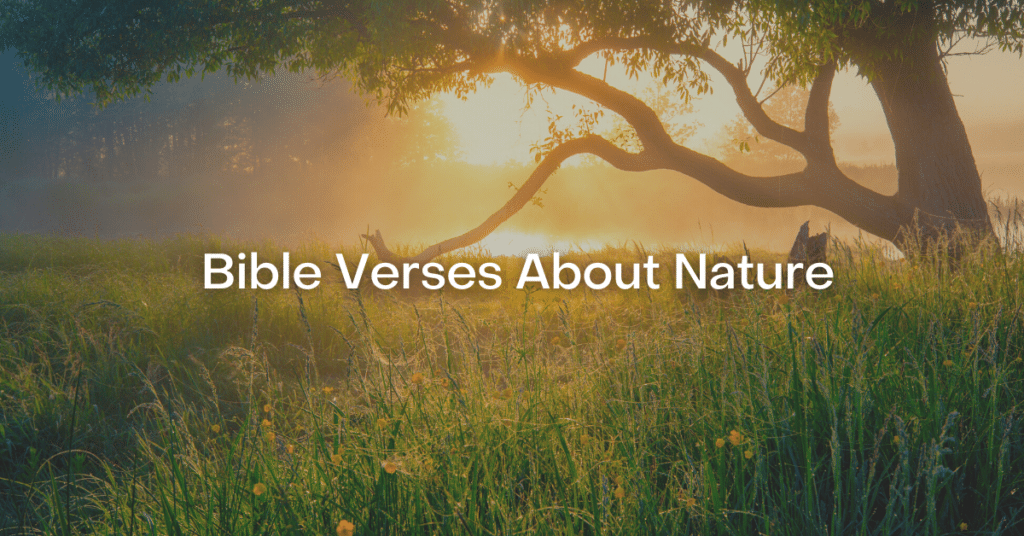 53+ Bible Verses About Nature