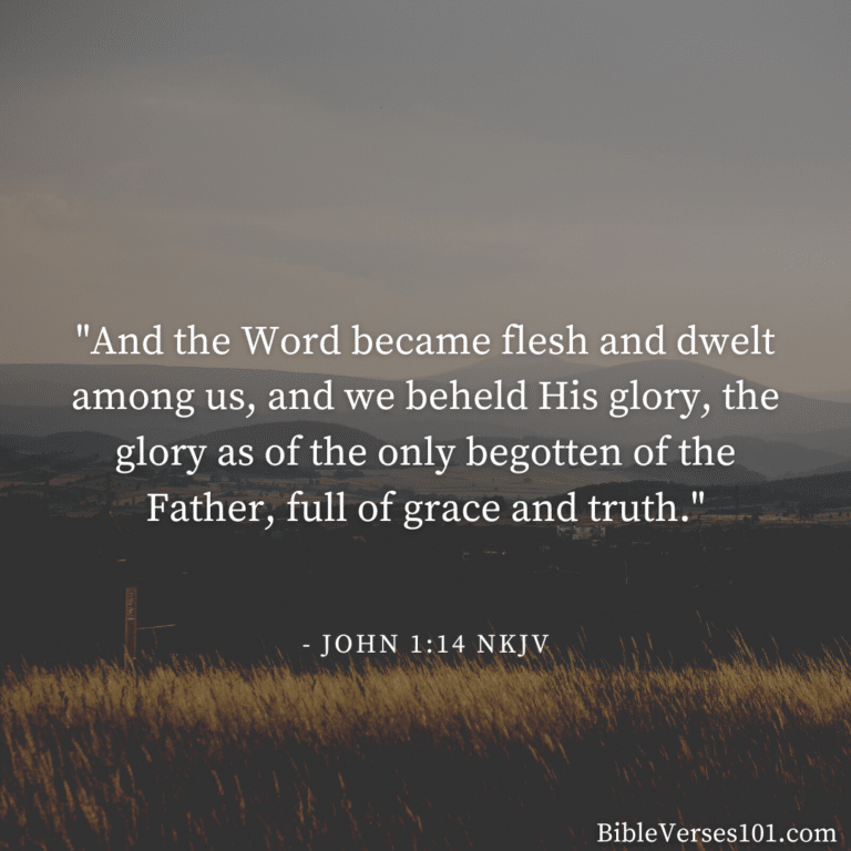 53+ Bible Verses from John