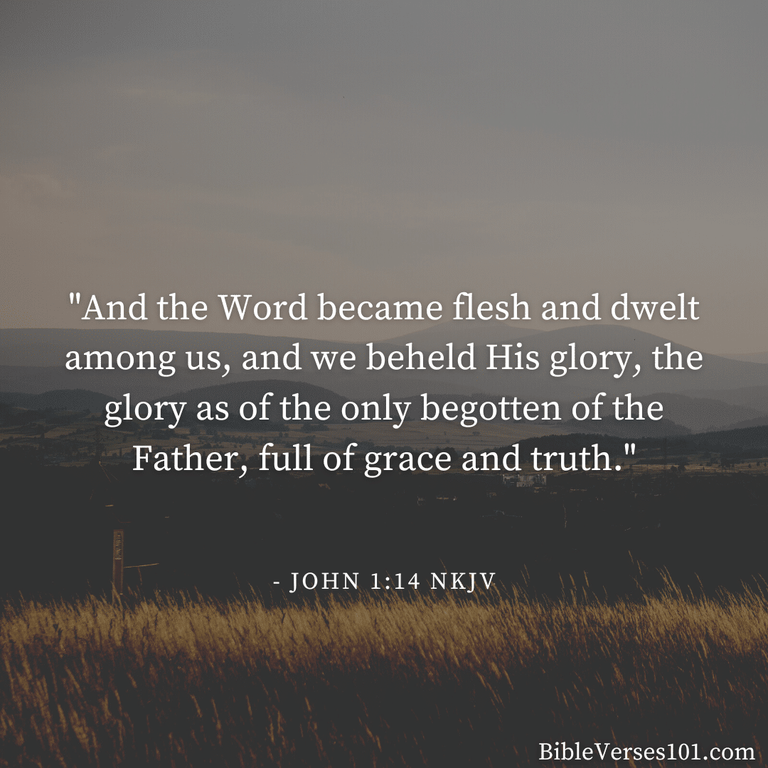 53+ Bible Verses from John