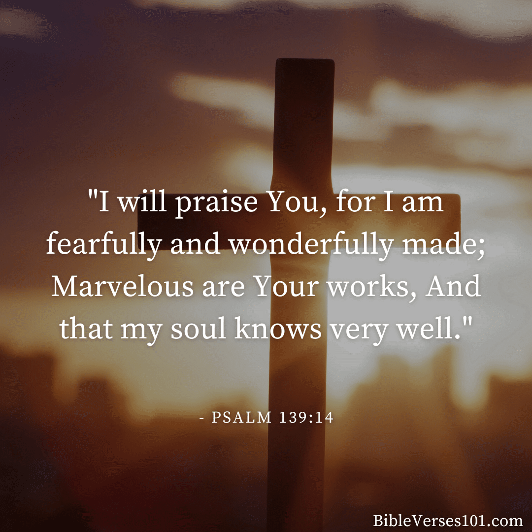 53+ Bible Verses About Finding Identity in God