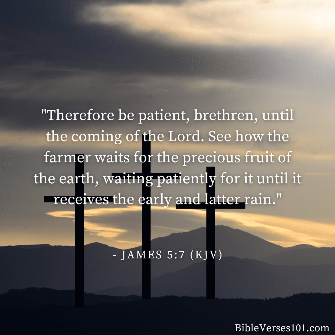 53+ Bible Verses About Faith and Trust