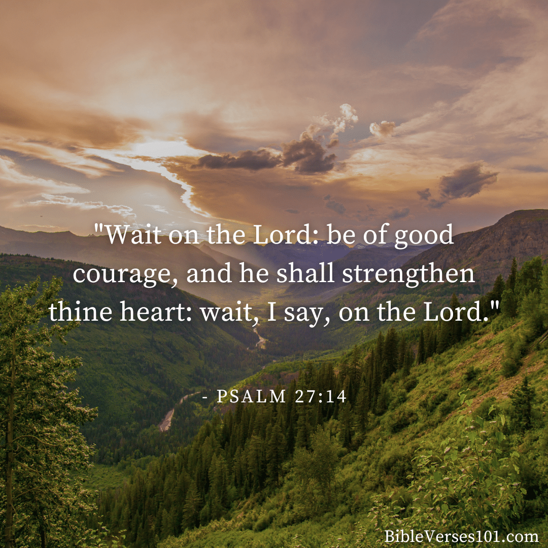 53+ Bible Verses About God's Plan for Our Lives